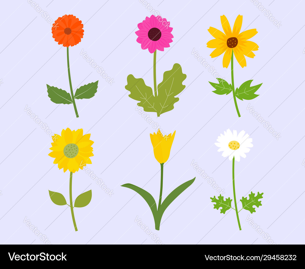 Set colorful flower in spring season flat lay Vector Image