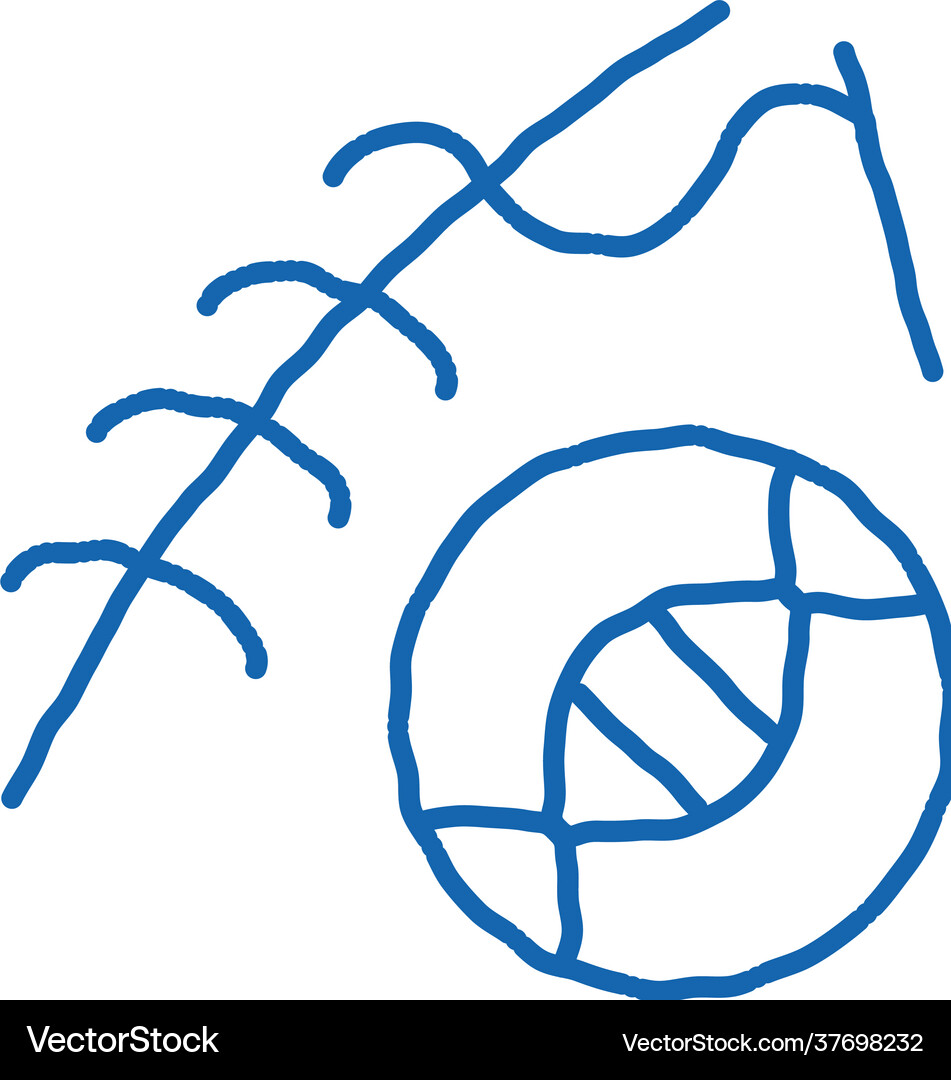 Surgery medical stitches biomaterial doodle icon Vector Image
