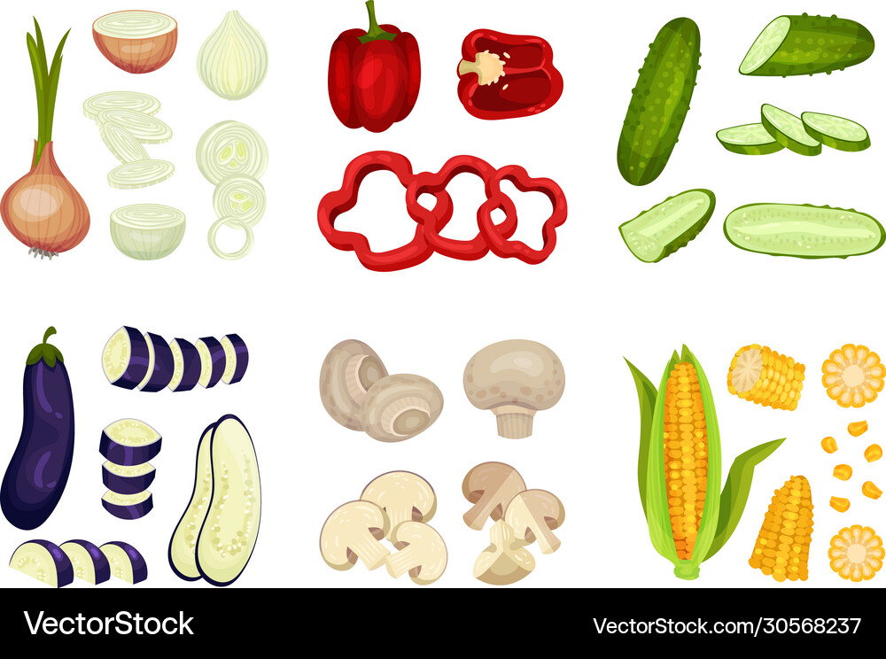 Chopped vegetables and mushrooms for cooking Vector Image