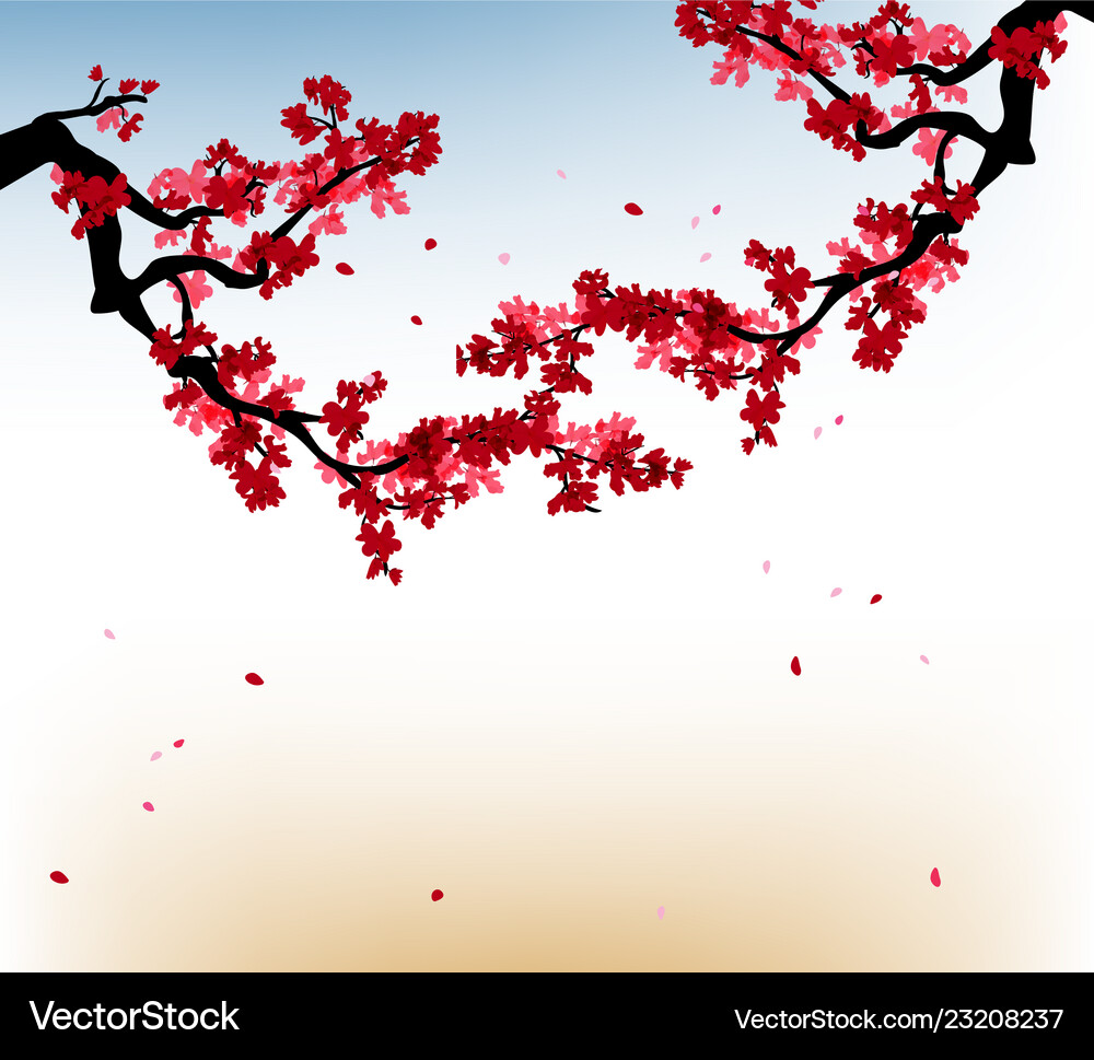 Watercolor sakura frame background with blossom Vector Image