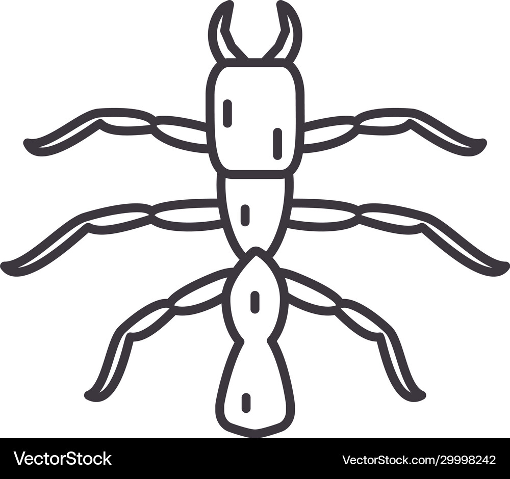Termite insect line detail style icon Royalty Free Vector