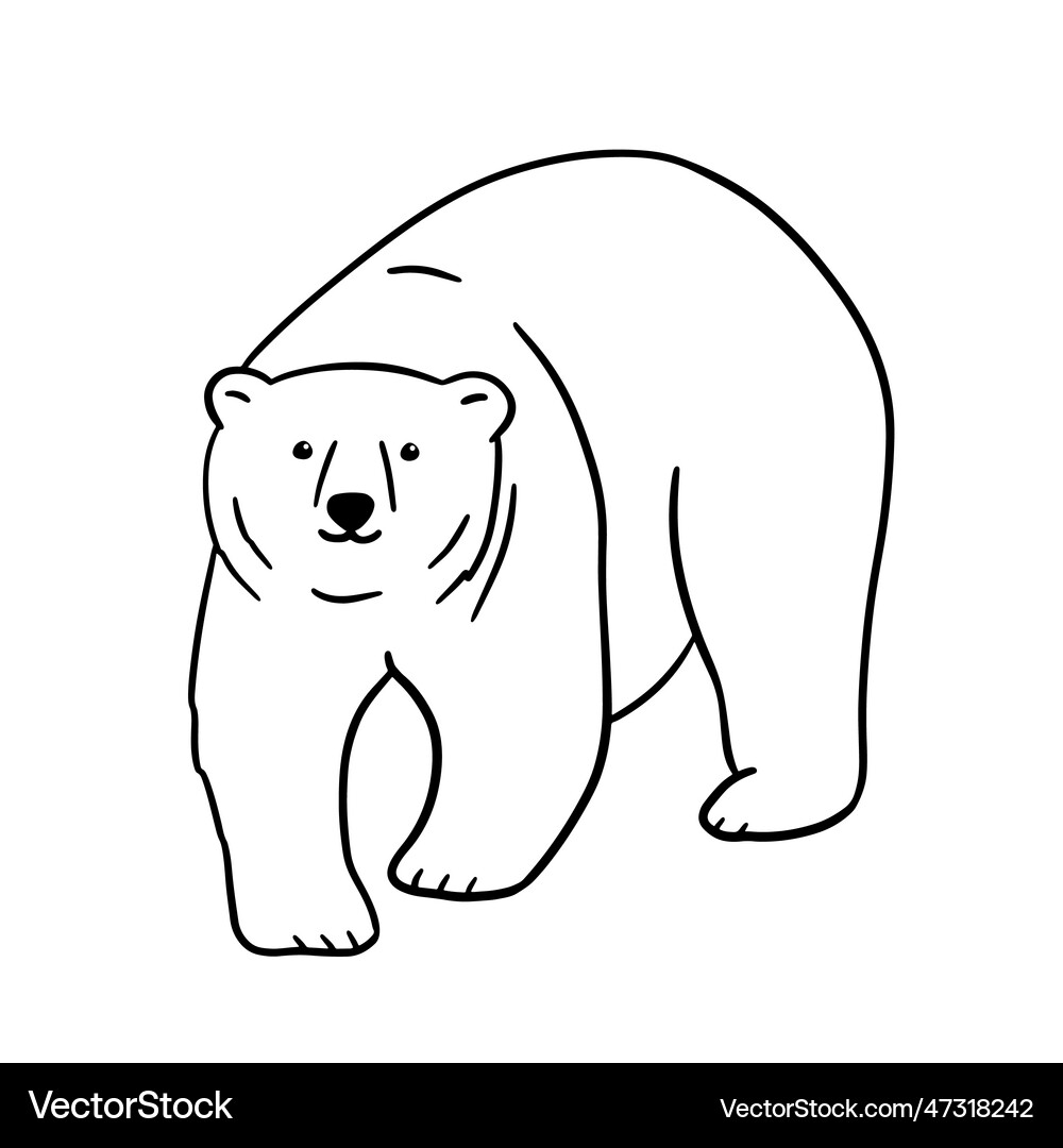 White polar bear line sketch outline Royalty Free Vector