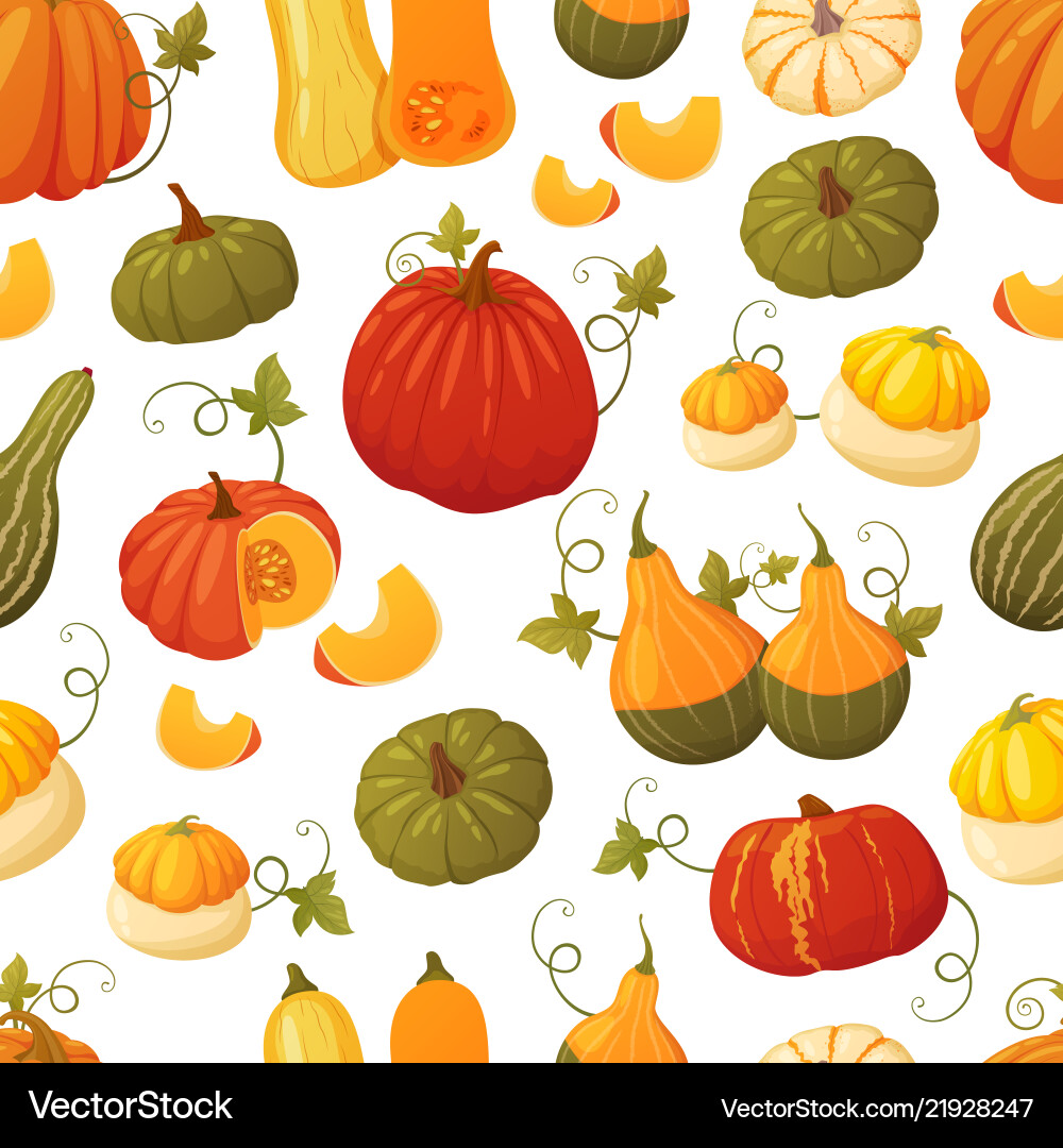 Colorful pumpkin pattern Royalty Free Vector Image