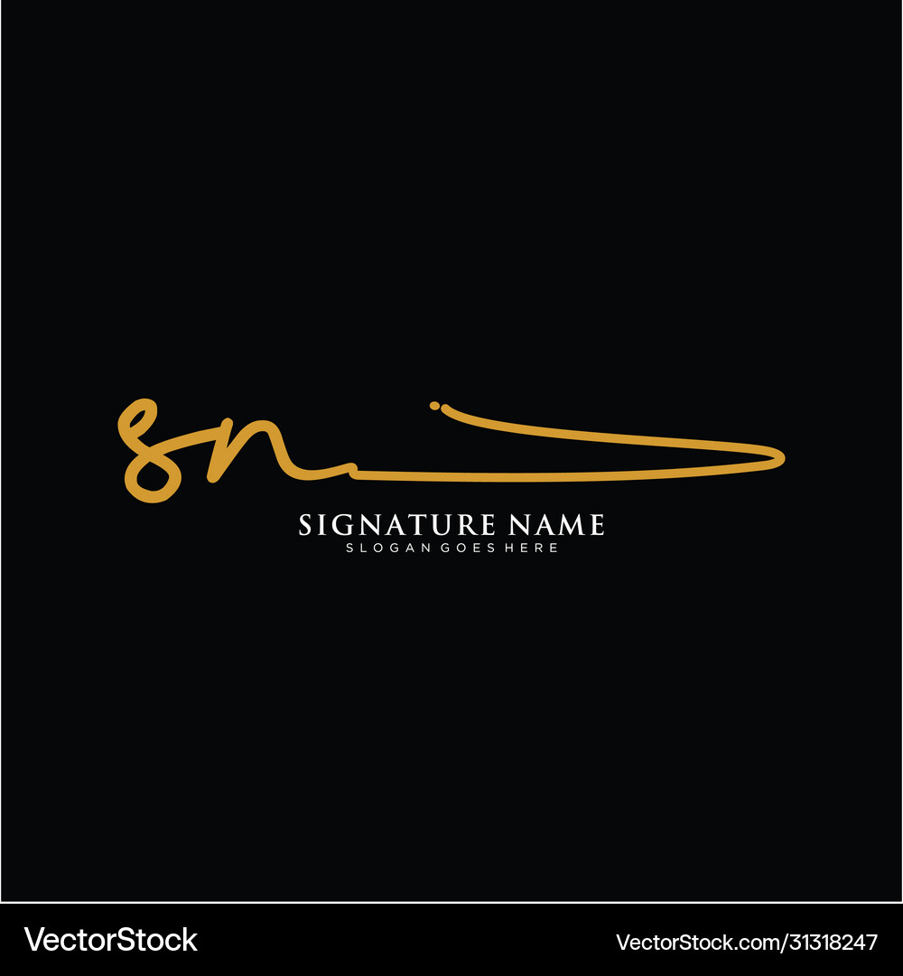 Letter sn signature logo template Royalty Free Vector Image