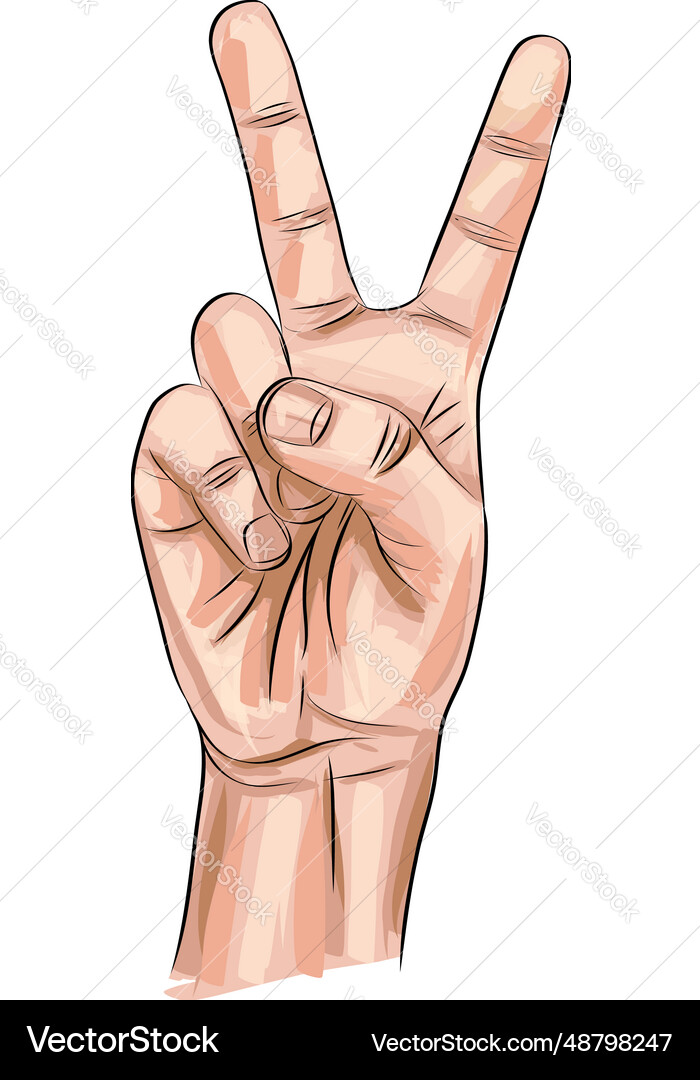 Victory and peace gesture symbol hand with two Vector Image