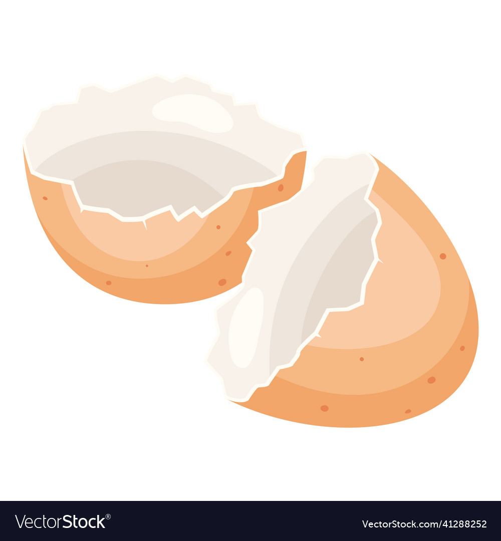 Brown broken chicken egg shell Royalty Free Vector Image Brown broken chicken egg shell Royalty Free Vector Image