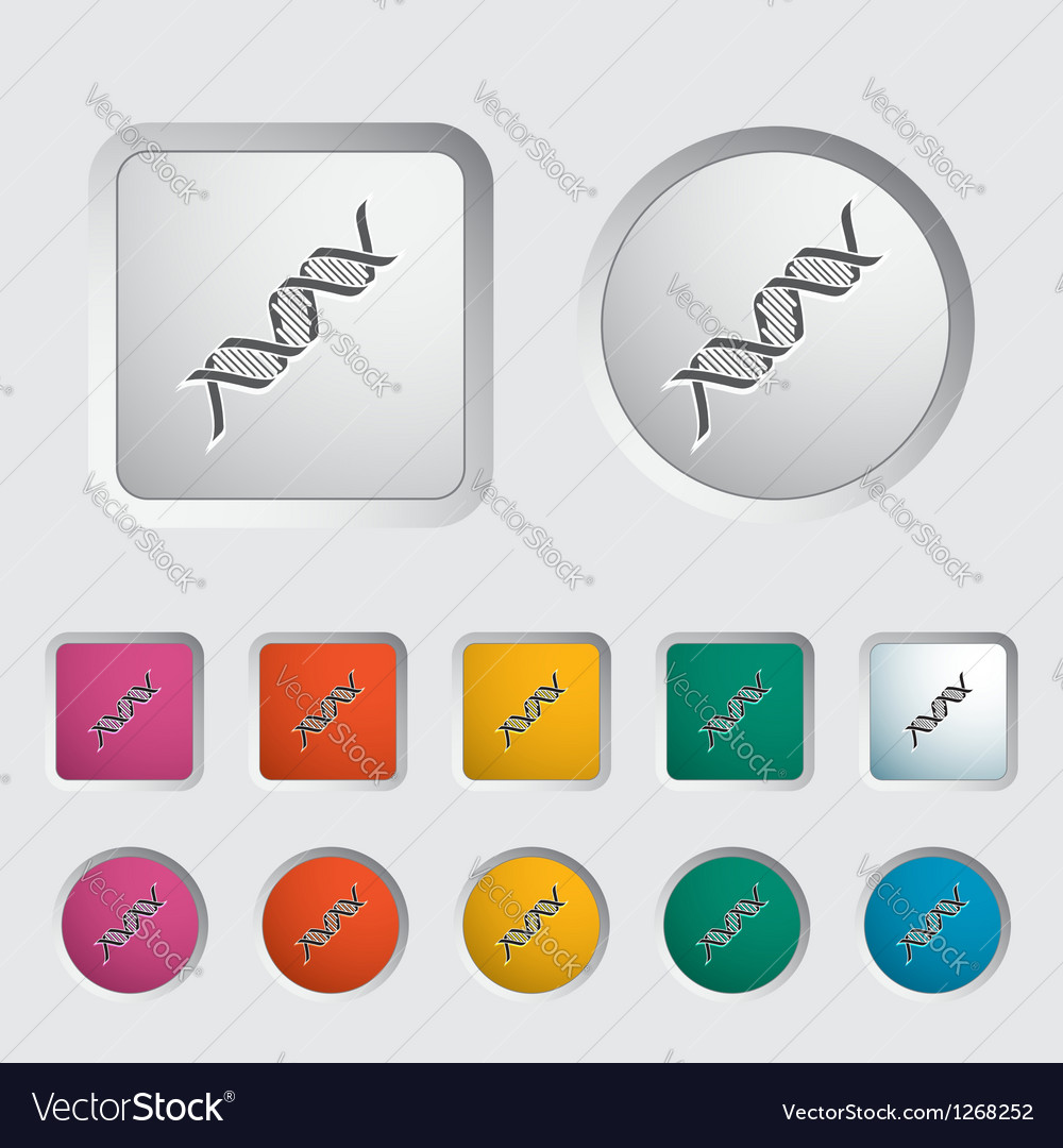 Dna Royalty Free Vector Image - VectorStock