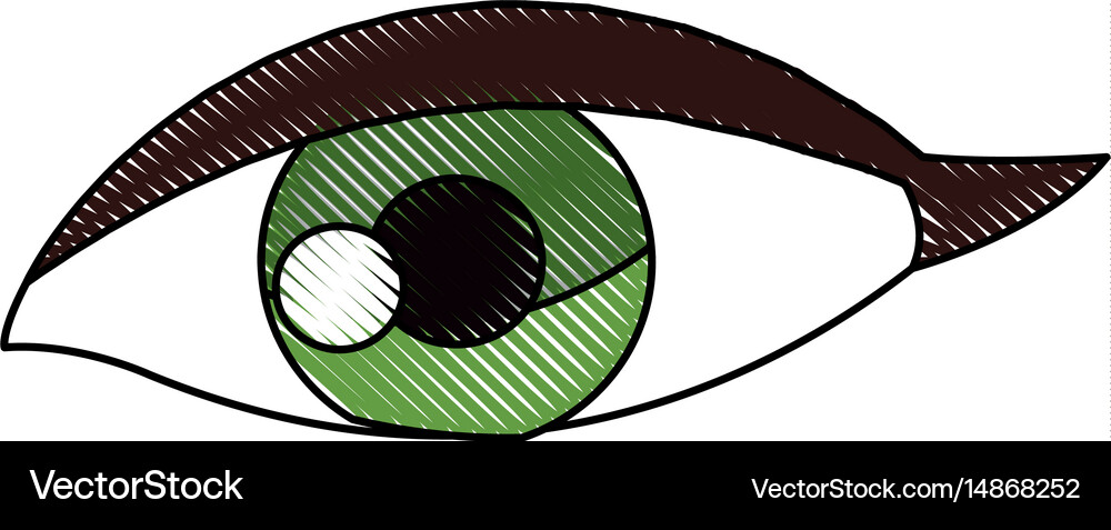 Drawing female eye vision optic cartoon Royalty Free Vector