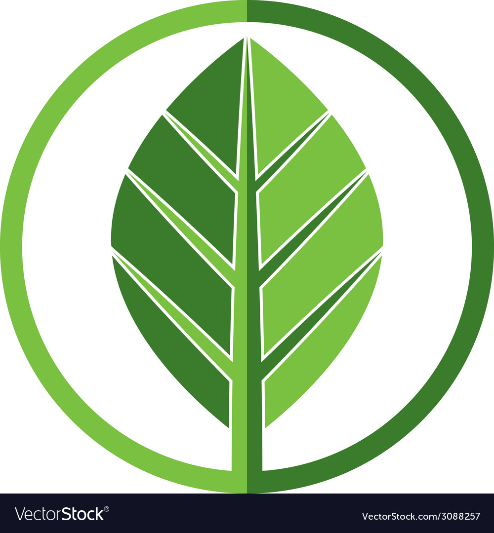 Leaf icon Royalty Free Vector Image - VectorStock