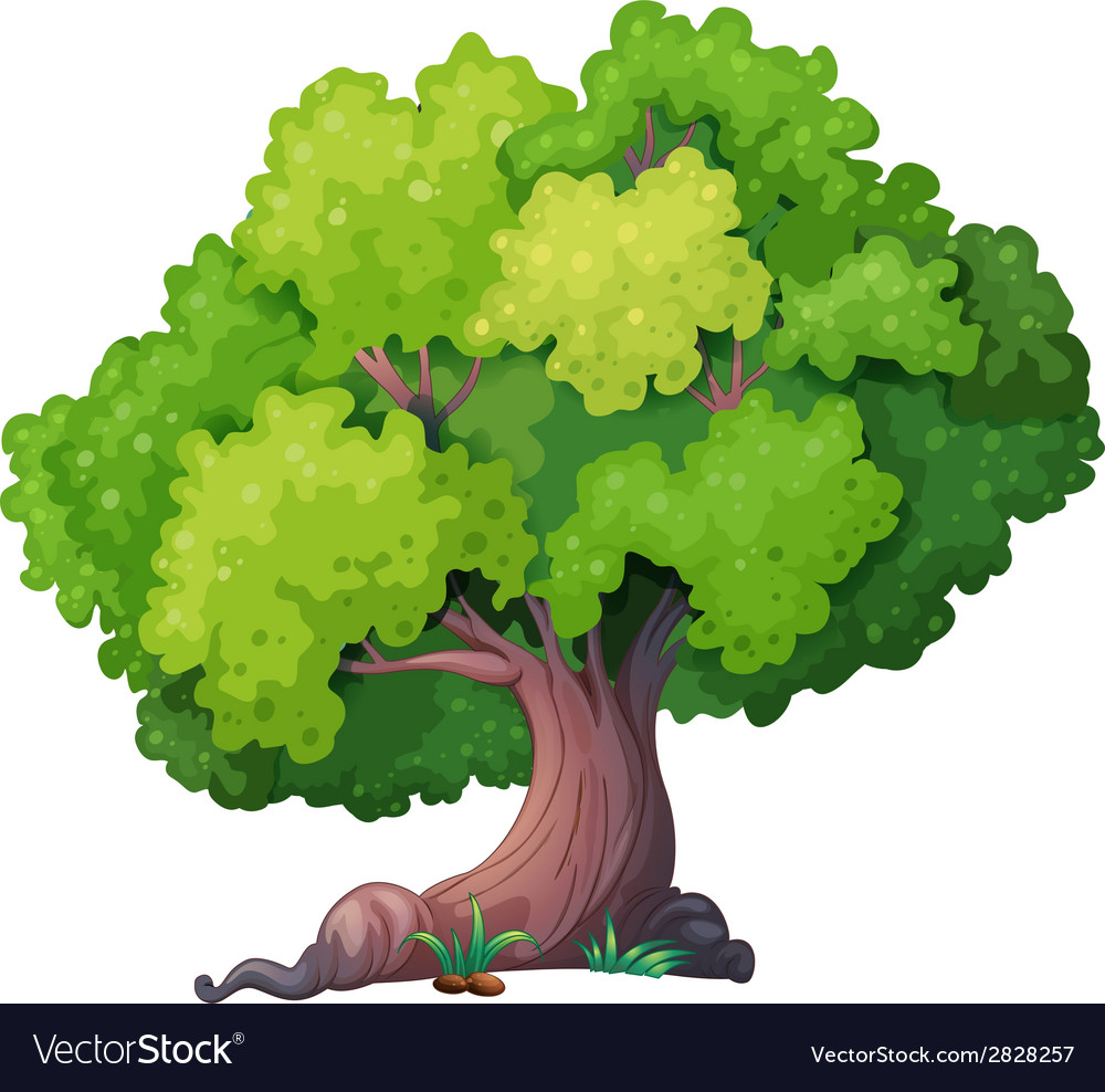 Tree Royalty Free Vector Image - VectorStock