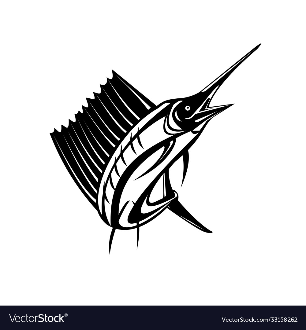 Atlantic sailfish or indo-pacific sailfish Vector Image Atlantic sailfish or indo-pacific sailfish Vector Image