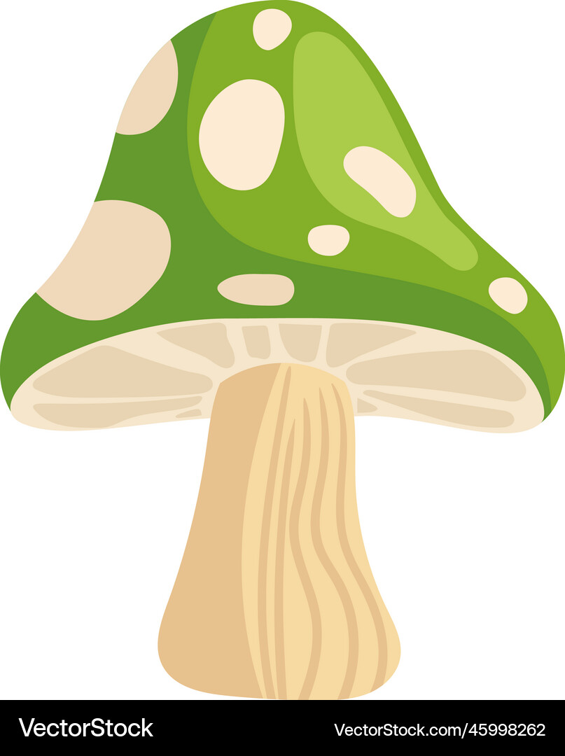 Green fungus plant Royalty Free Vector Image - VectorStock