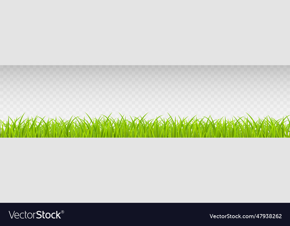Green grass realistic spring field nature Vector Image