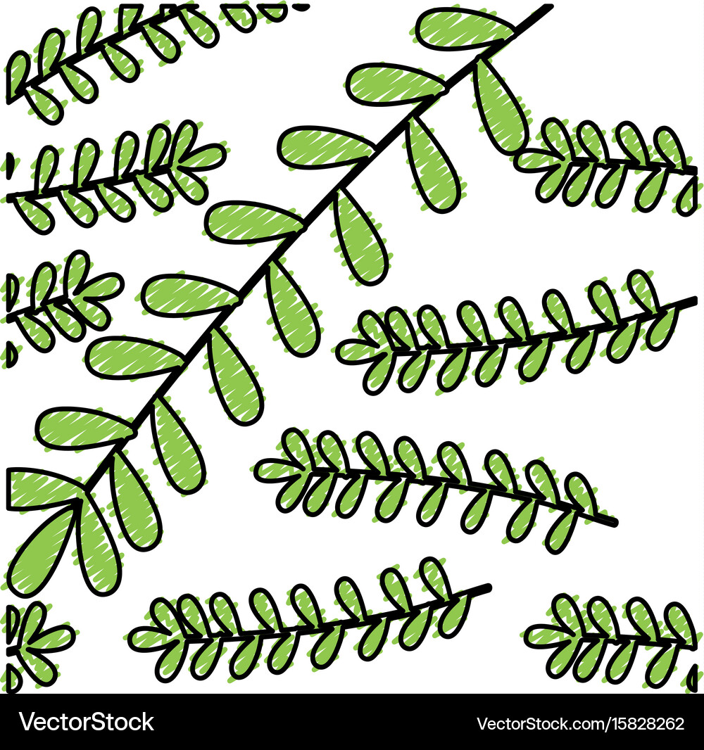 Leafy branch natural pattern Royalty Free Vector Image