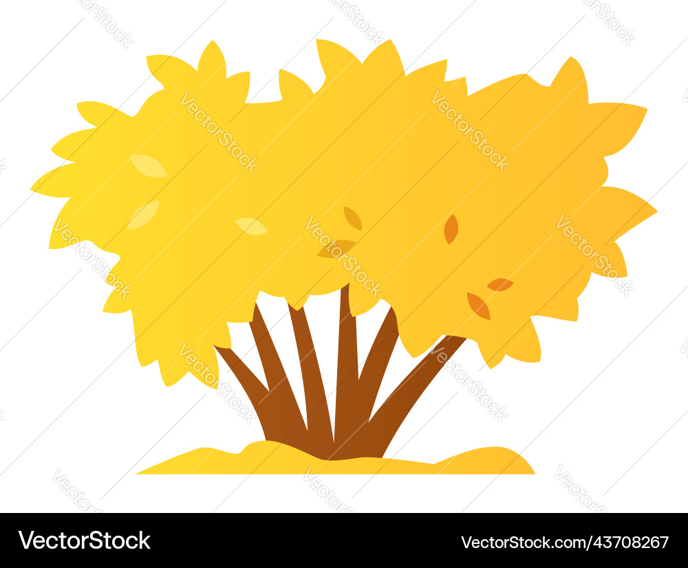 Autumn yellow bush - modern flat design style Vector Image