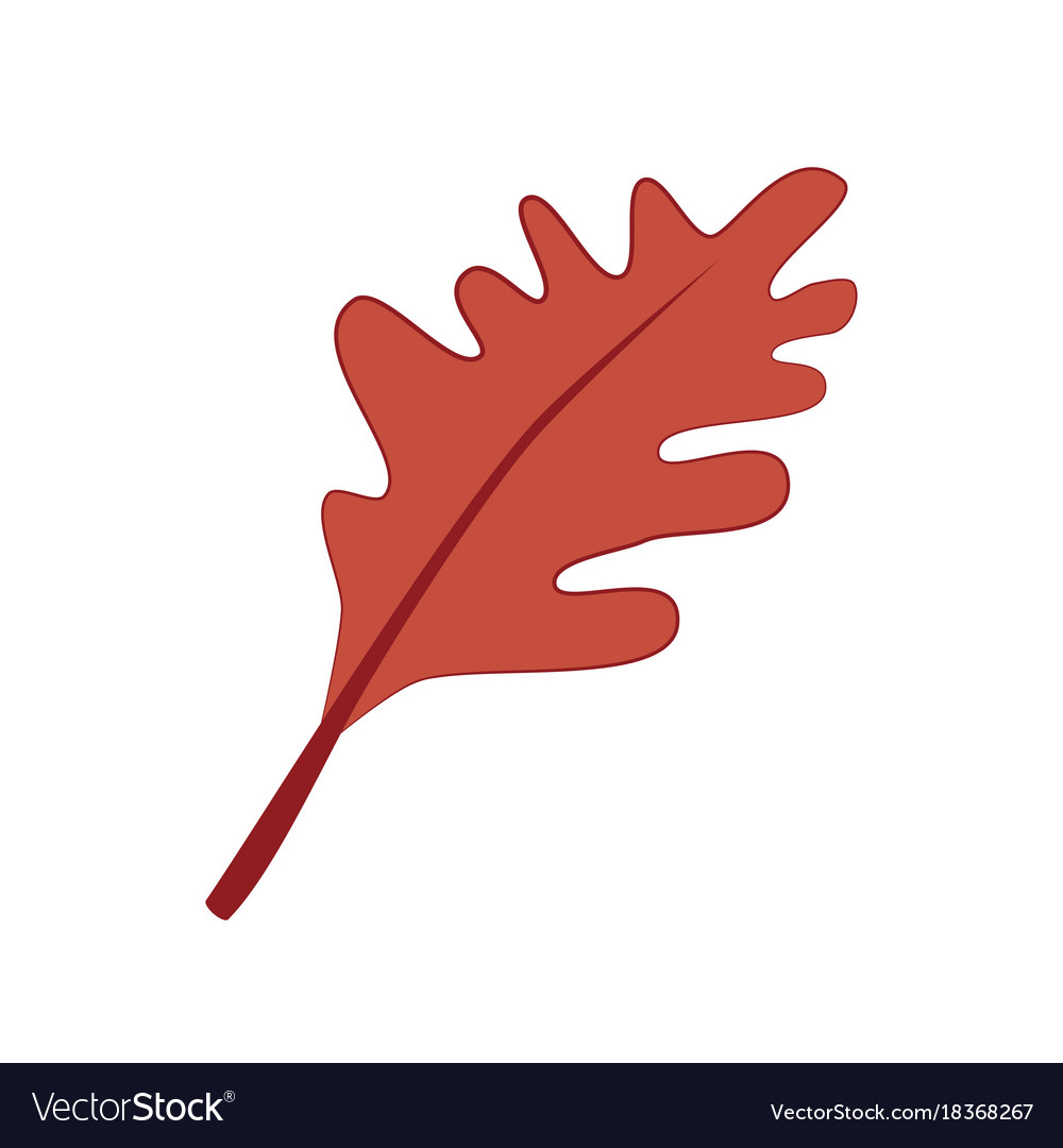 Oak leaf Royalty Free Vector Image - VectorStock