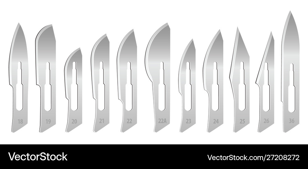 A set removable blades for surgical scalpel Vector Image