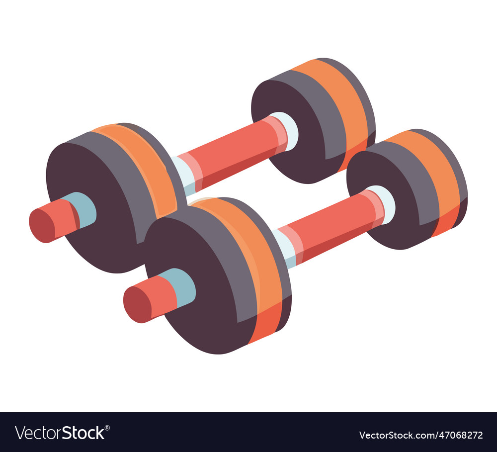 Heavy dumbbell weights Royalty Free Vector Image
