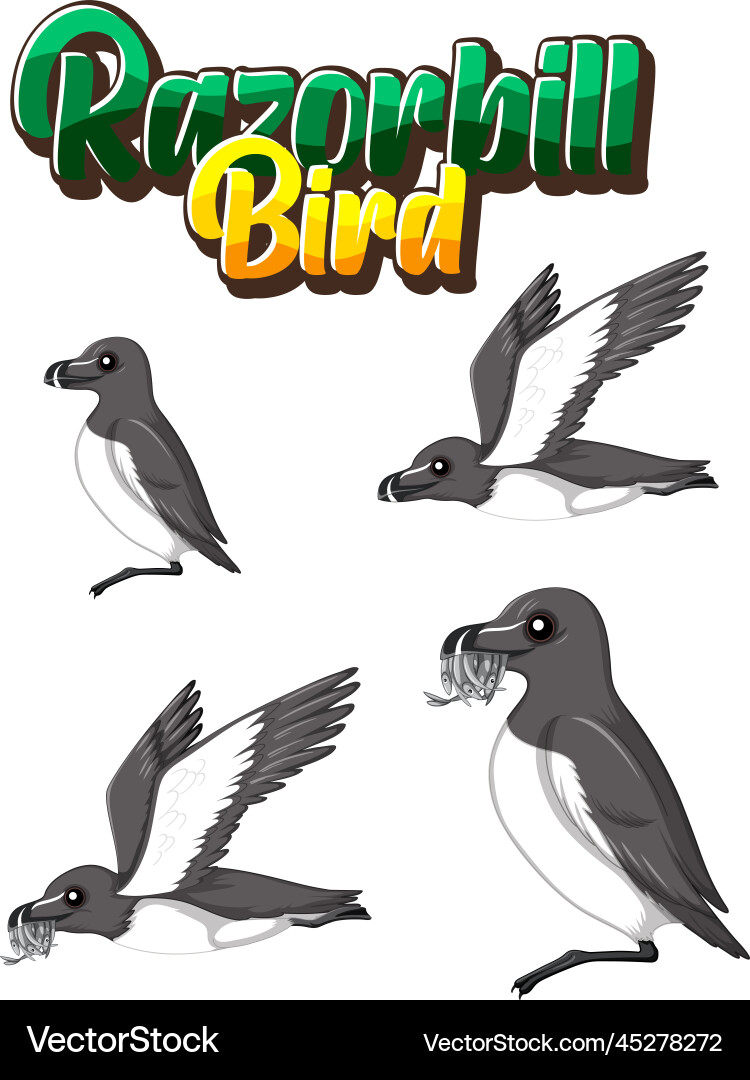 Razorbill birds cartoon character in different Vector Image