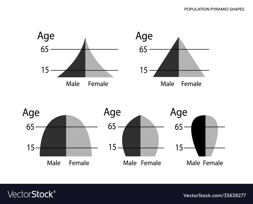 Different types population pyramids on white ba Vector Image Different types population pyramids on white ba Vector Image