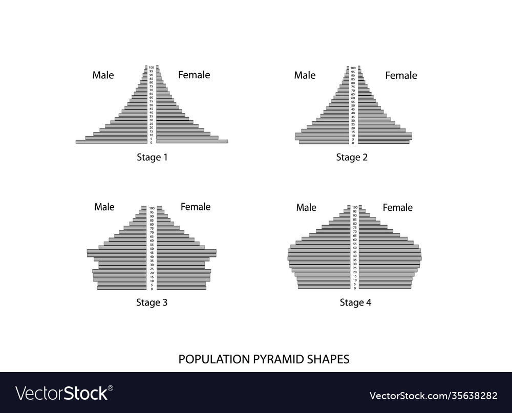 Four types population pyramids on white background