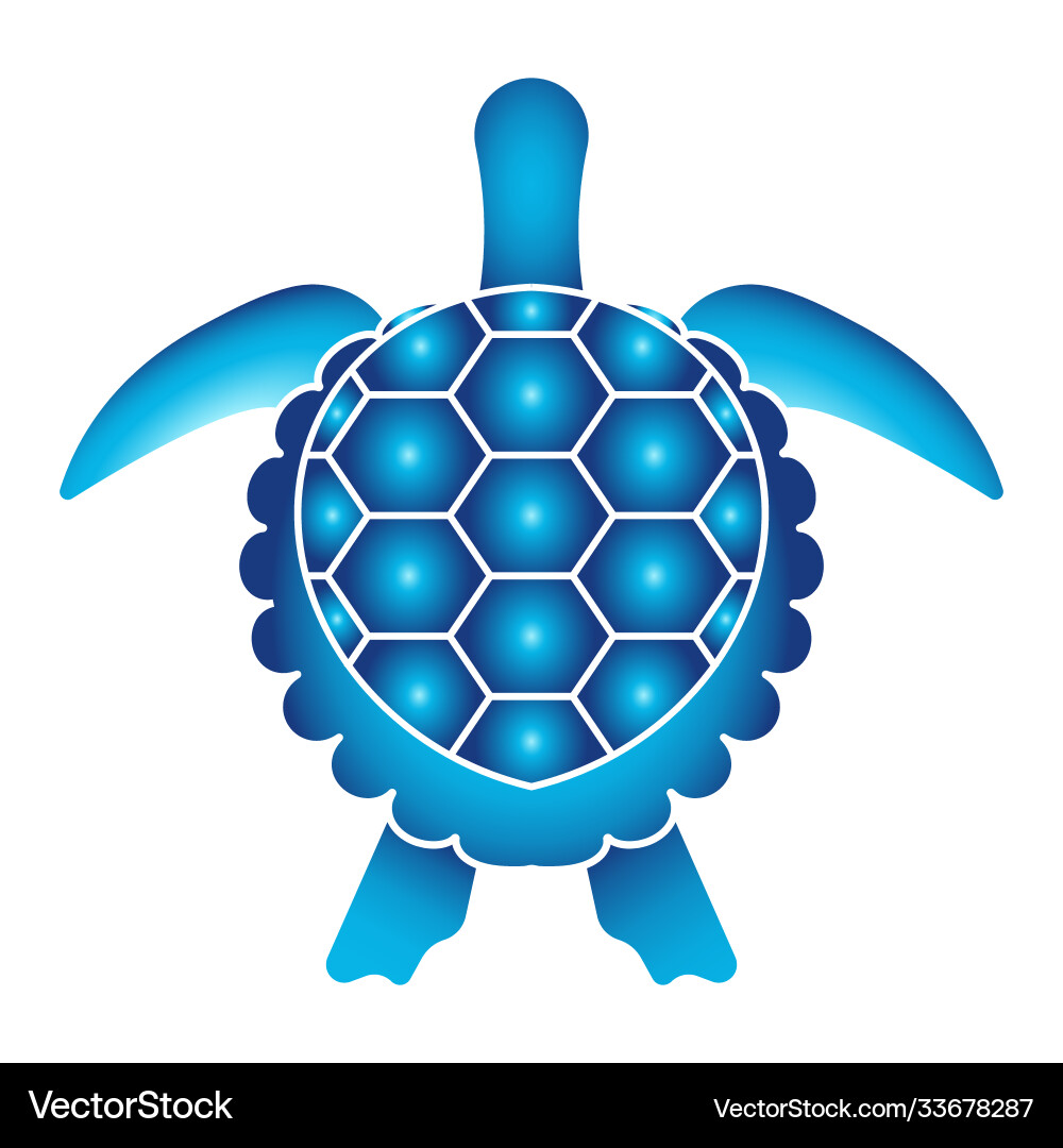 Sea turtle or marine top view flat colour Vector Image