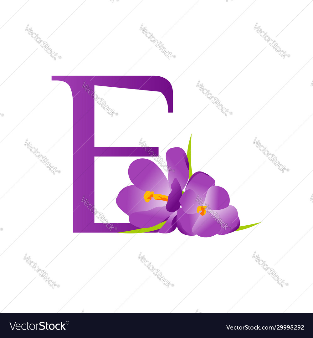 Initial e purple flower Royalty Free Vector Image