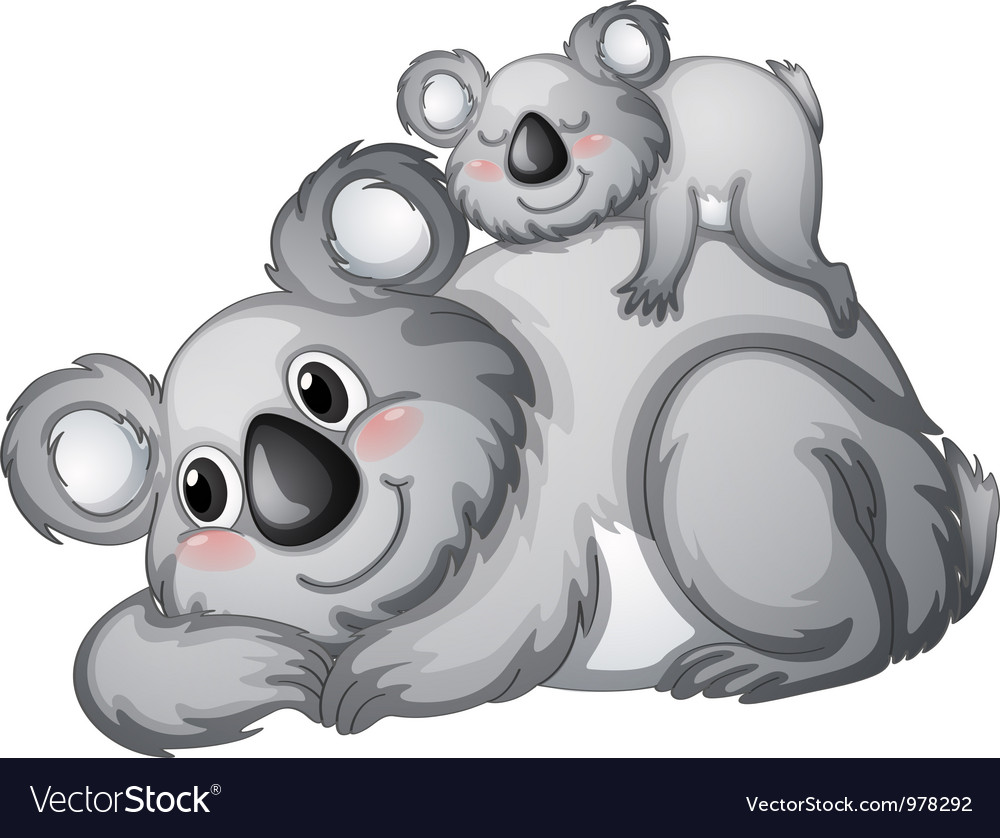 Koala Royalty Free Vector Image - VectorStock