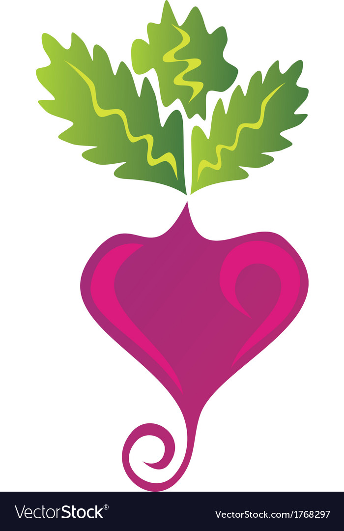 Beet Royalty Free Vector Image - VectorStock