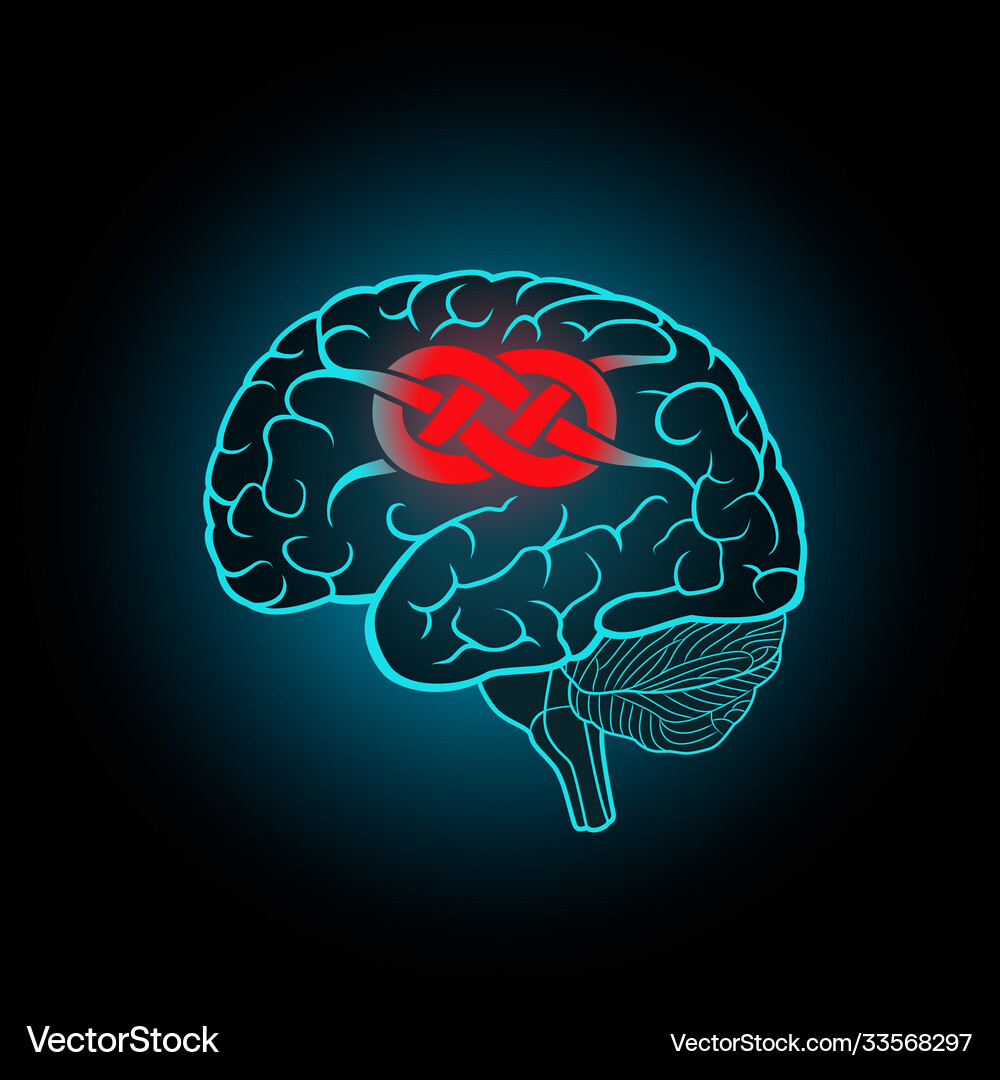 Brain with convolutions associated to knot Vector Image