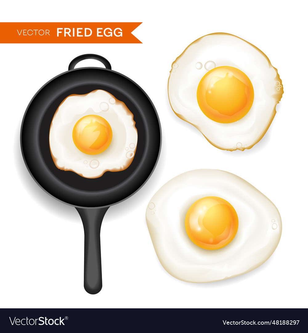Fried eggs set Royalty Free Vector Image - VectorStock