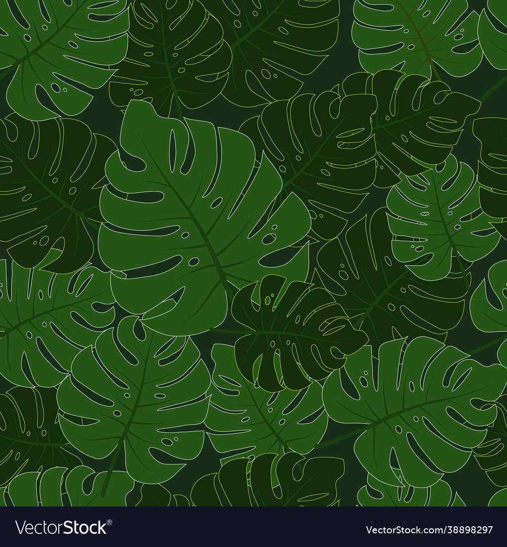 Monstera leaves pattern Royalty Free Vector Image