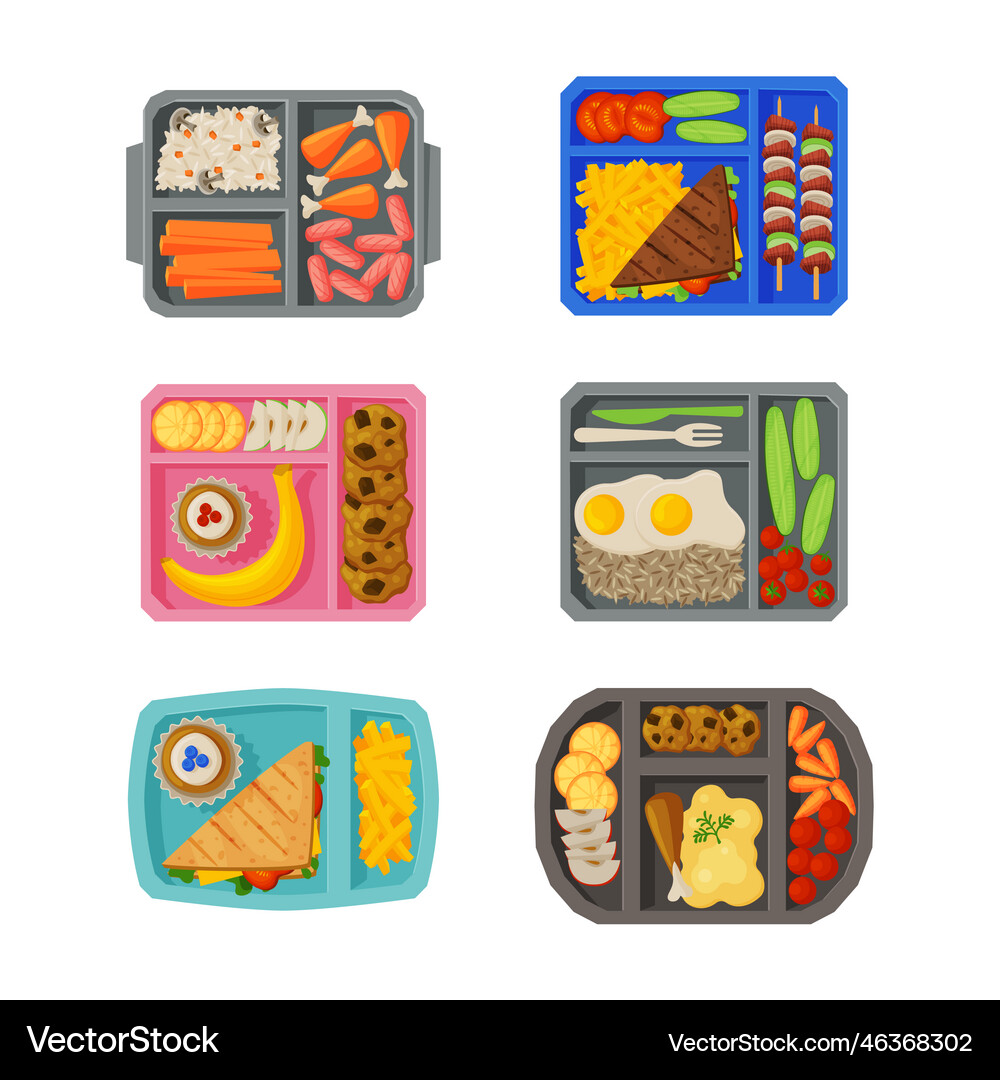 Meal tray with fresh appetizing food rested in Vector Image