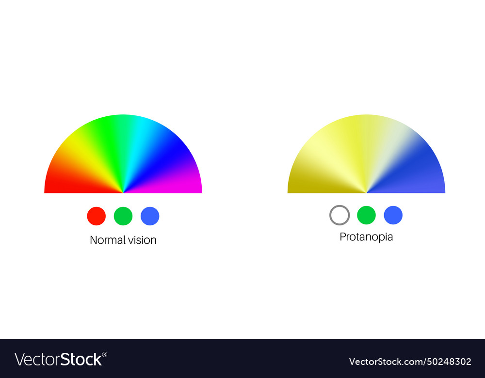 Protanomaly and protanopia Royalty Free Vector Image