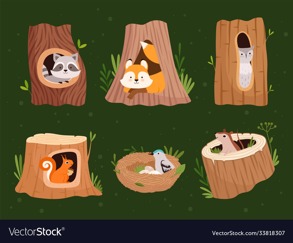Animals hollow wood forest trees with holes for Vector Image