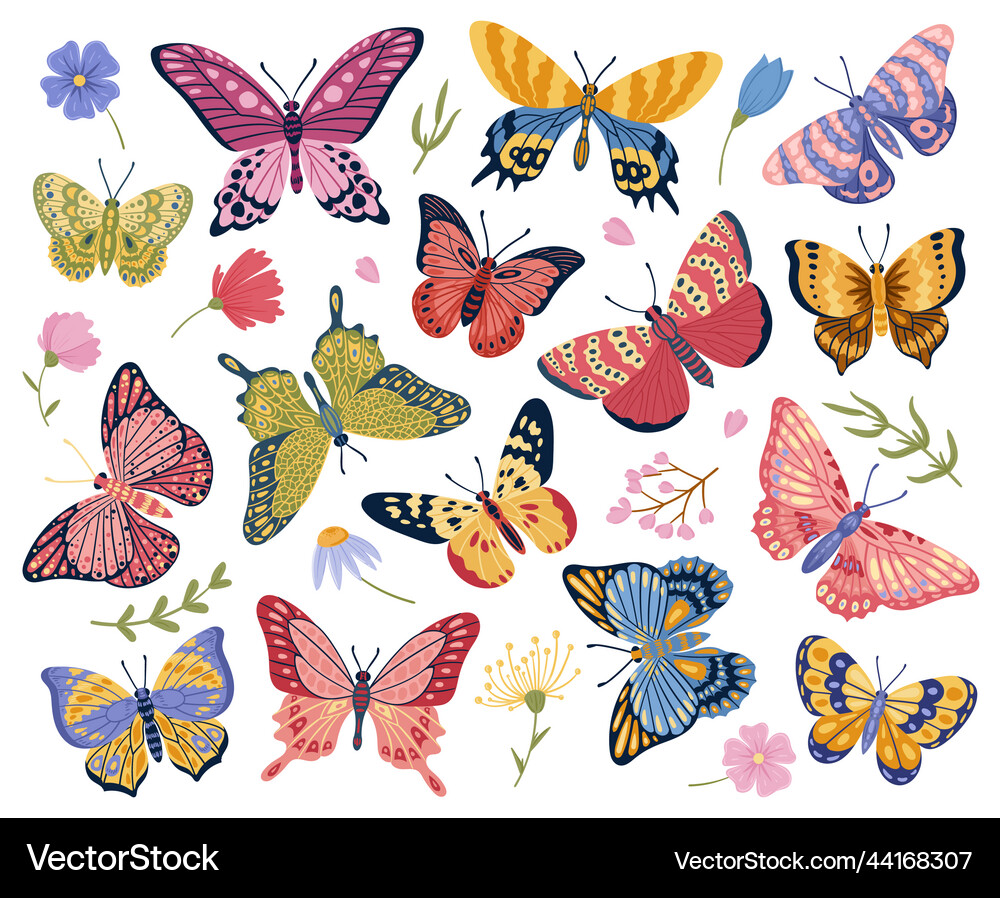 Cartoon Butterflies Flying
