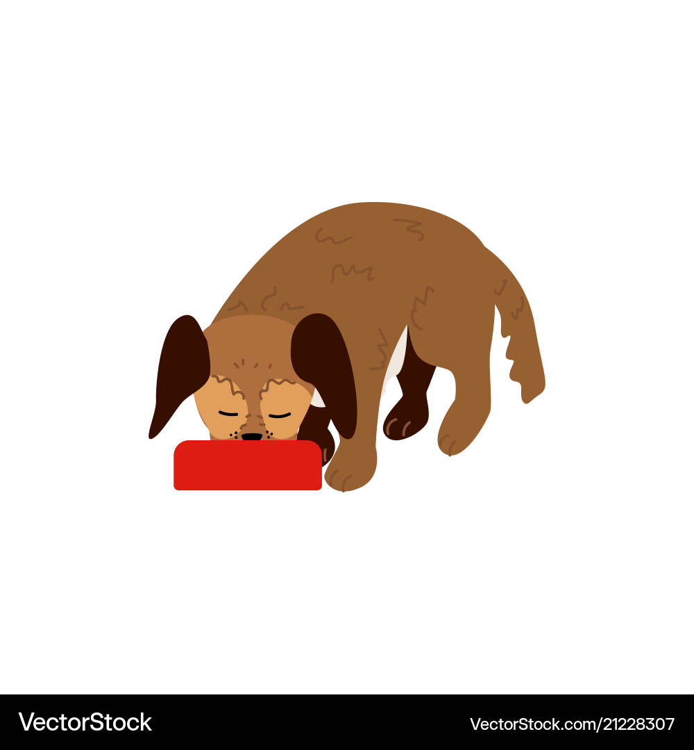 Flat sdrink from bowl dog pet icon Royalty Free Vector Image