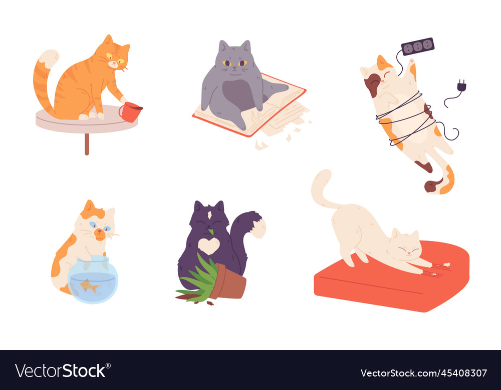 Naughty Cats Cartoon Cat Bad Behaviour Guilty Vector Image