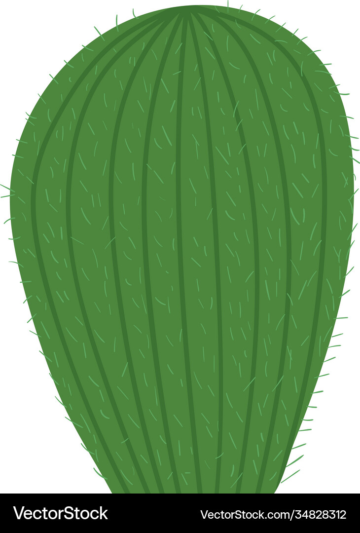 Cactus green color icon in white background Vector Image