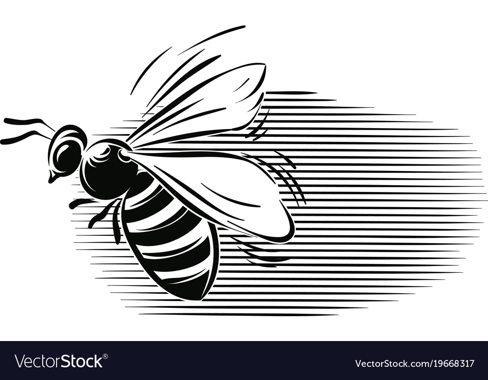 Bee in flight Royalty Free Vector Image - VectorStock