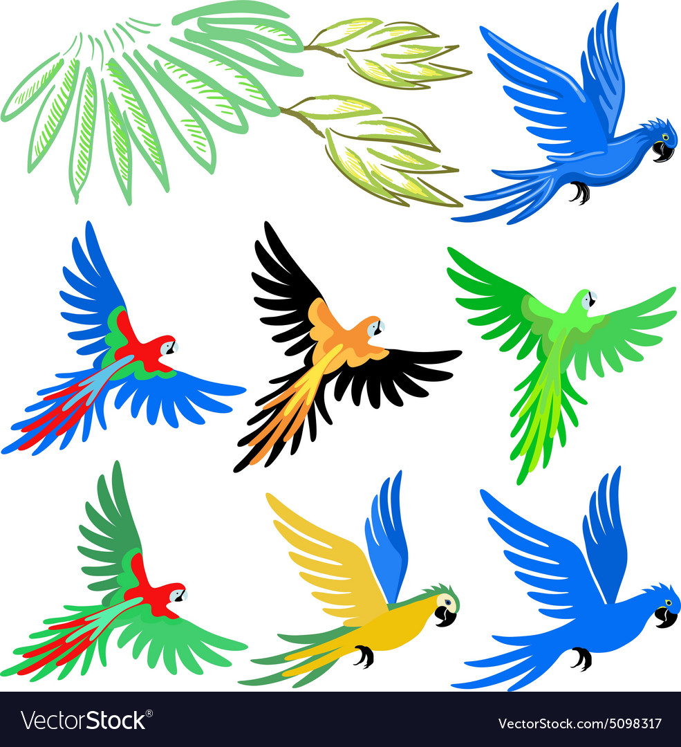 Macaw parrot pattern set Royalty Free Vector Image