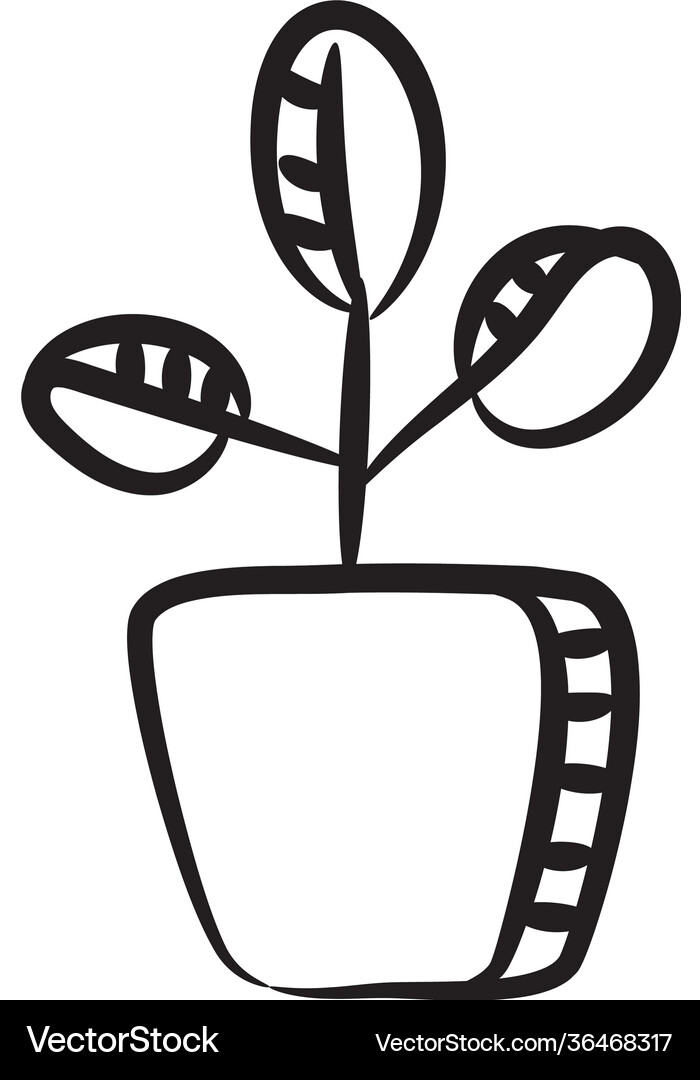 Plant vase Royalty Free Vector Image - VectorStock