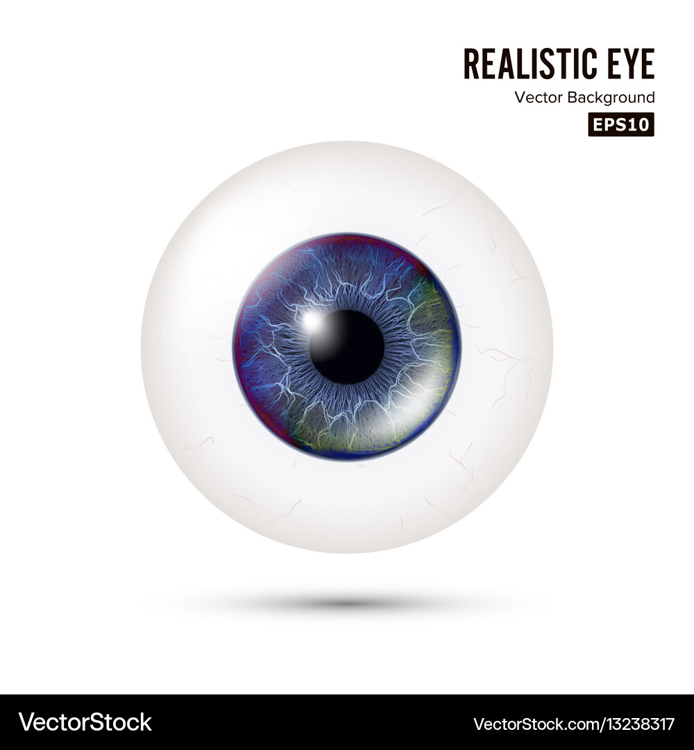Realistic human eyeball 3d glossy photorealistic Vector Image