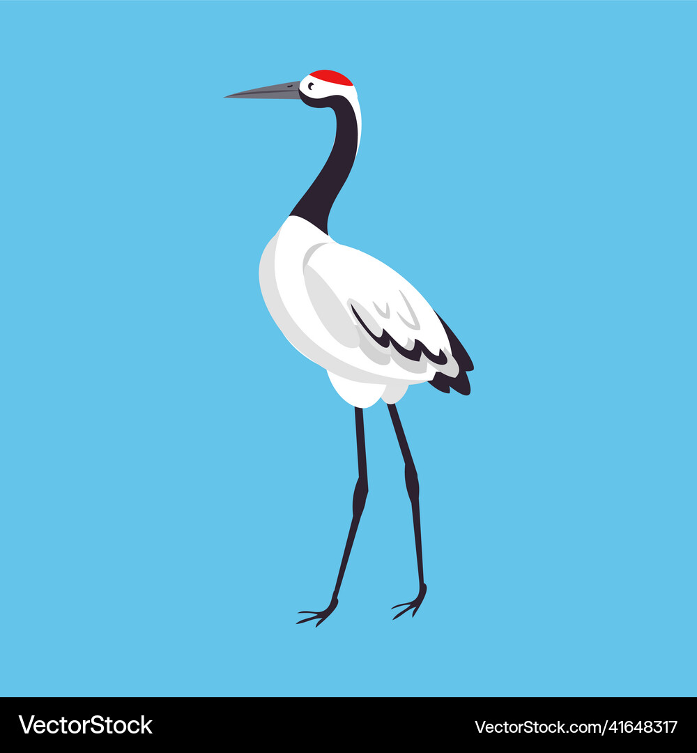 Red crowned crane as long-legged and long-necked Vector Image