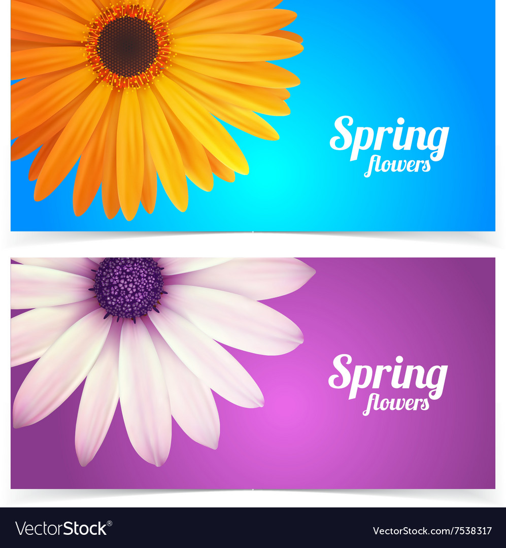 Spring flowers composition Royalty Free Vector Image