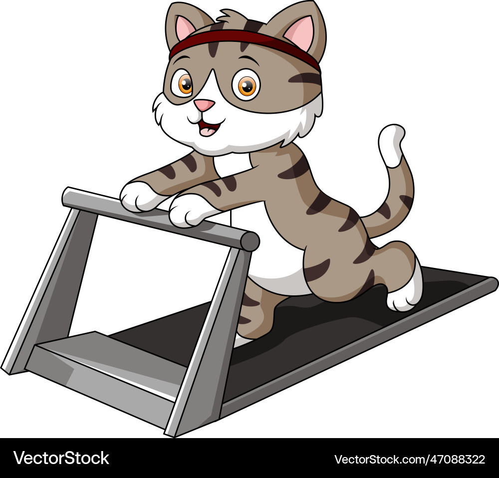 Cute cat cartoon running on treadmill Royalty Free Vector