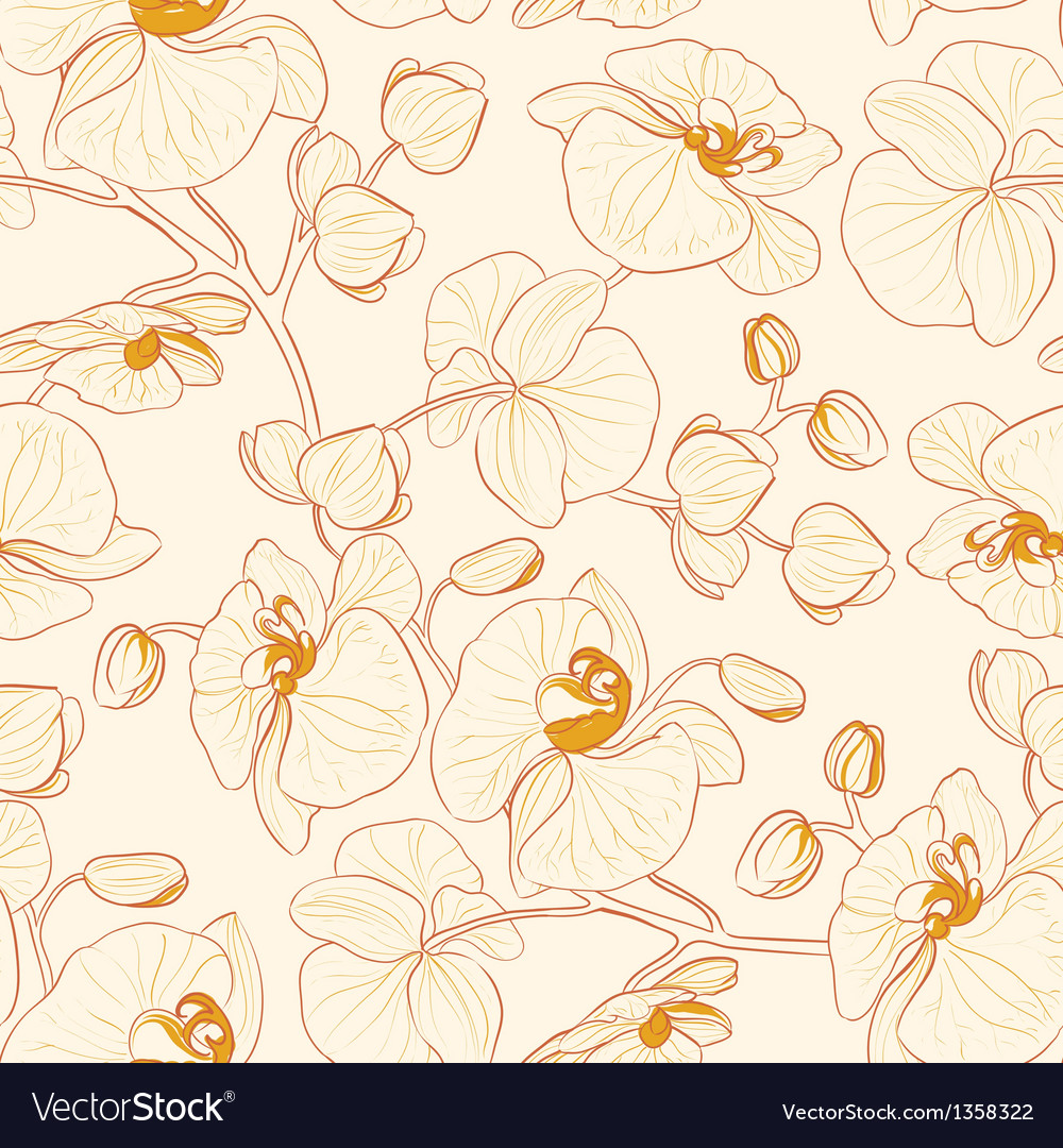 Orchid pattern Royalty Free Vector Image - VectorStock