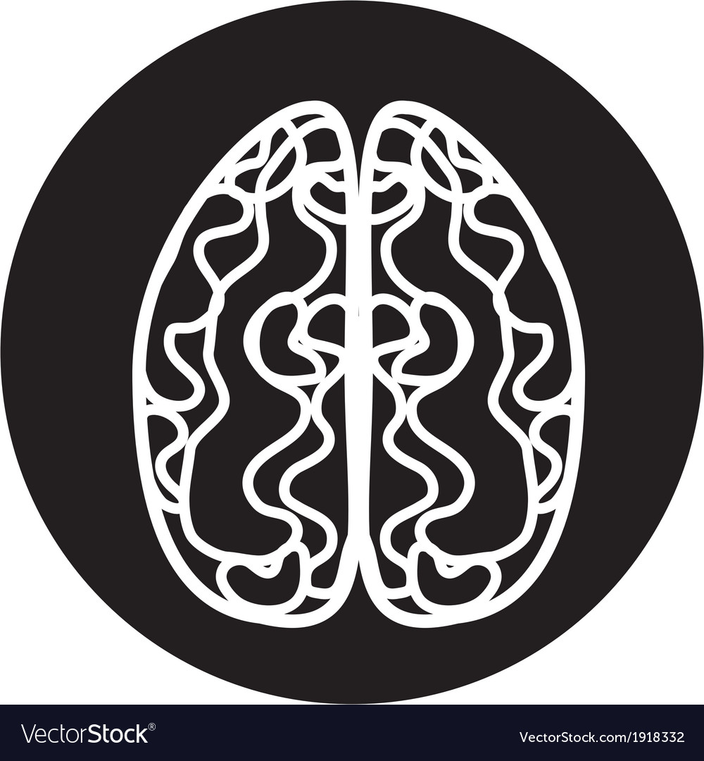 Brain icon Royalty Free Vector Image - VectorStock