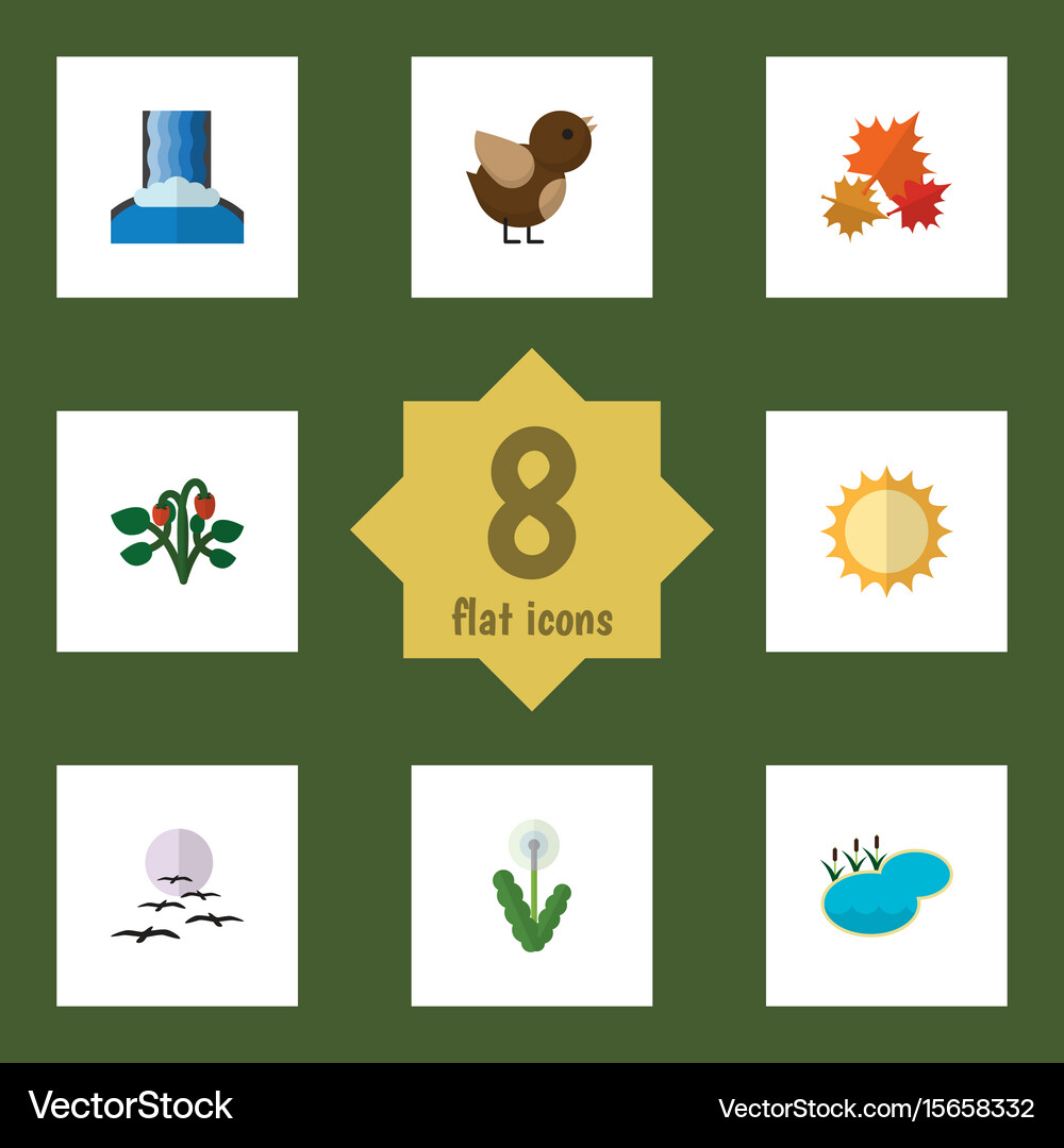 Flat icon bio set solar berry gull and other Vector Image