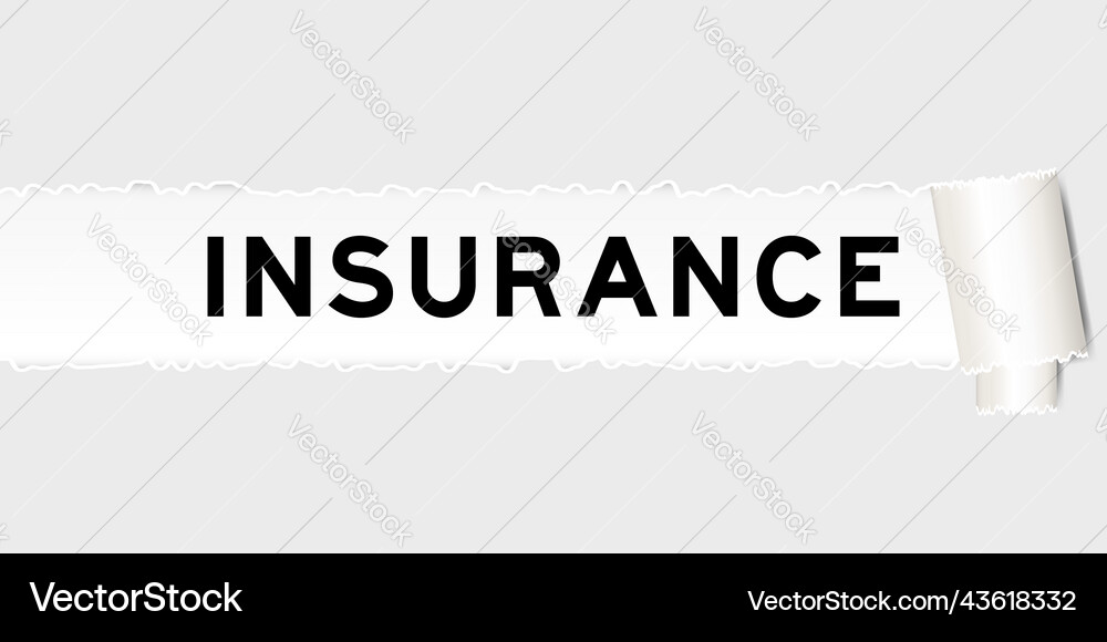 Ripped gray paper background that have word Vector Image